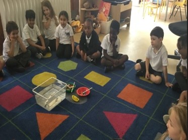 Reception | Robert Blair School