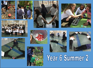 Year 6 | Robert Blair School