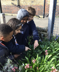 Year 3 | Robert Blair School