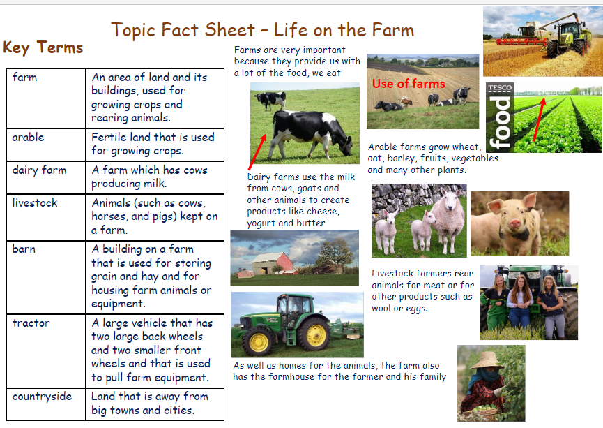 Year 2 | Robert Blair School